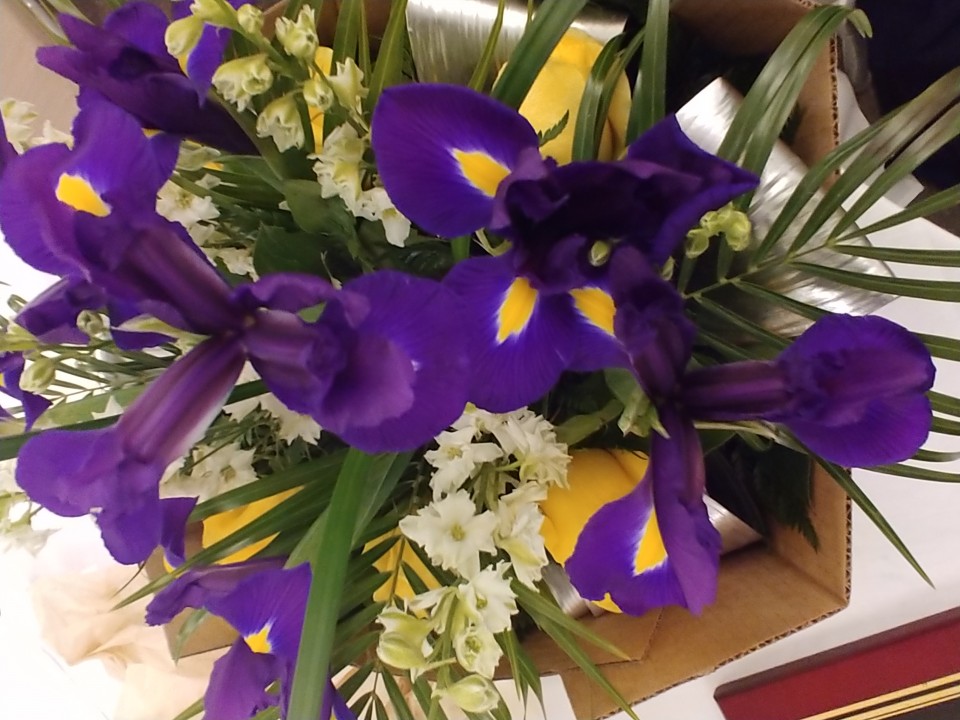 D. Augustus Straker Bar Association - GALLERY